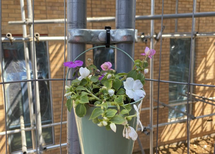 We are Western Build - Western Building Systems